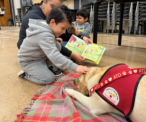 DONATIONS – PAWS FOR TALES